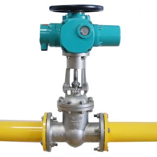 Motorized gate valve
